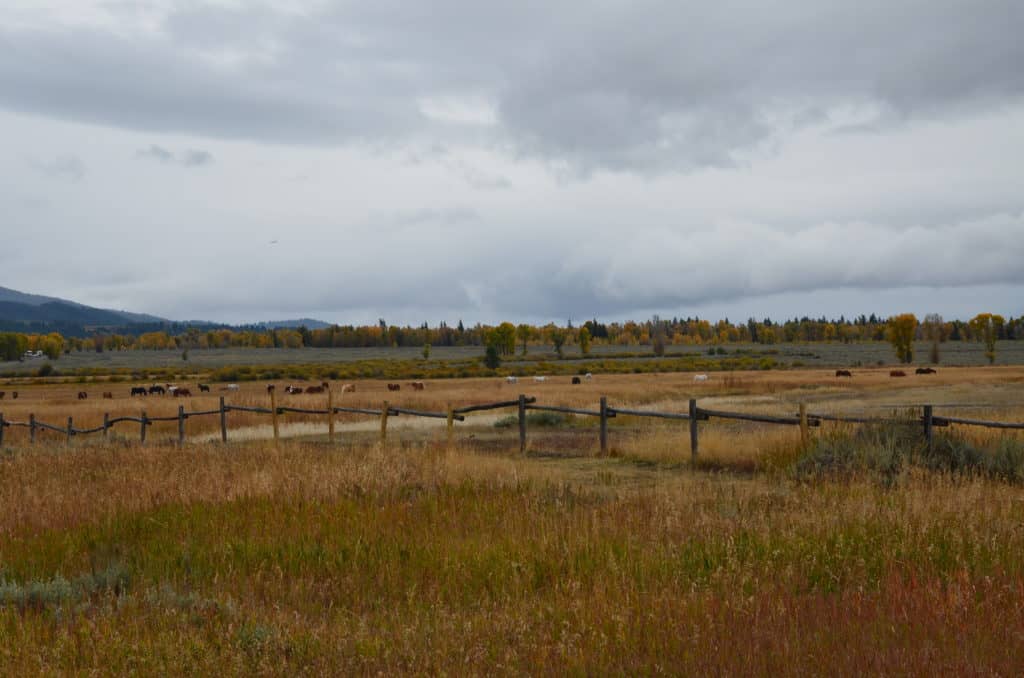 US Highway 89 (Grand Teton National Park) - Nomadic Niko