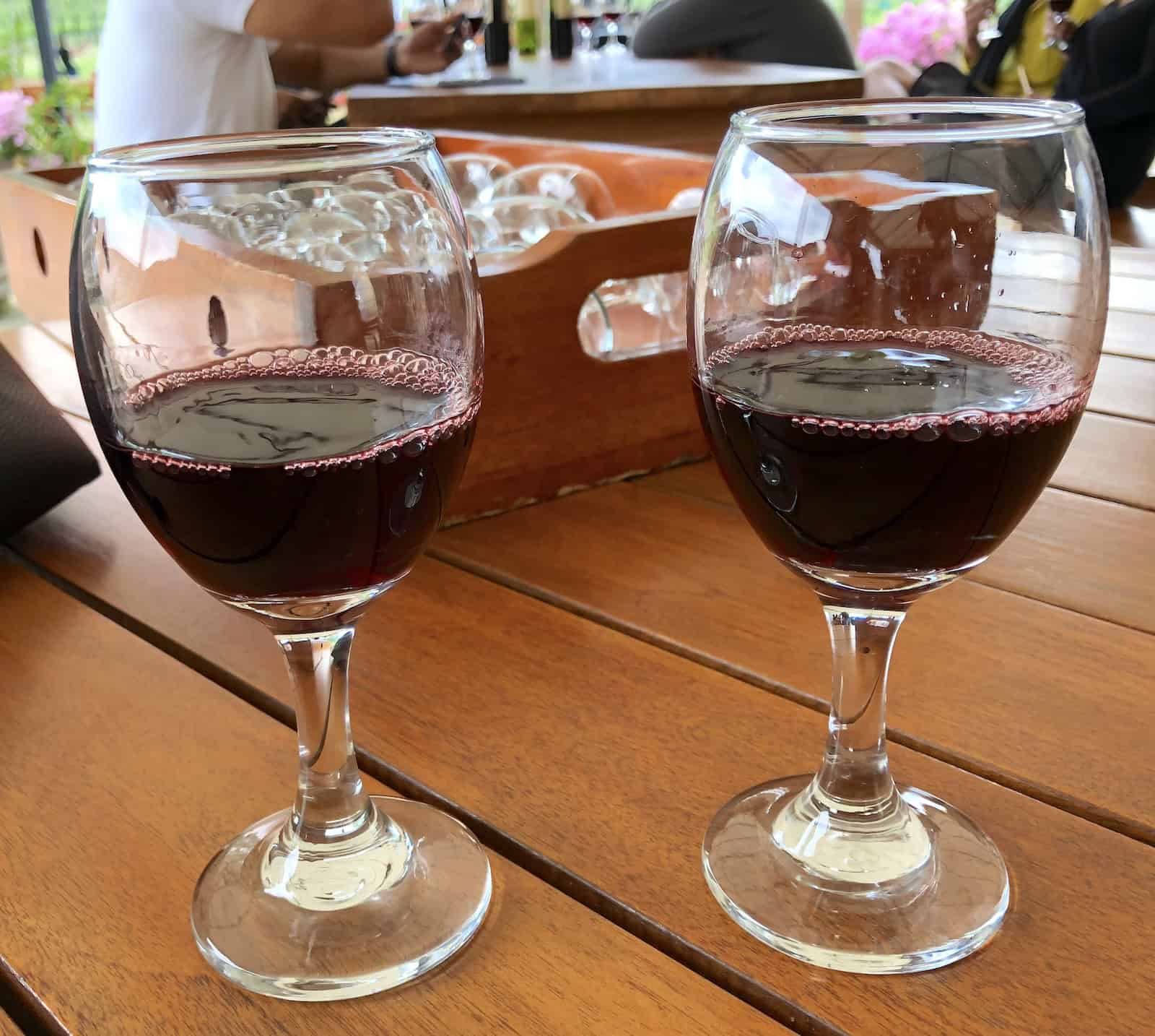Colombian Wine: The Vineyards of Villa de Leyva