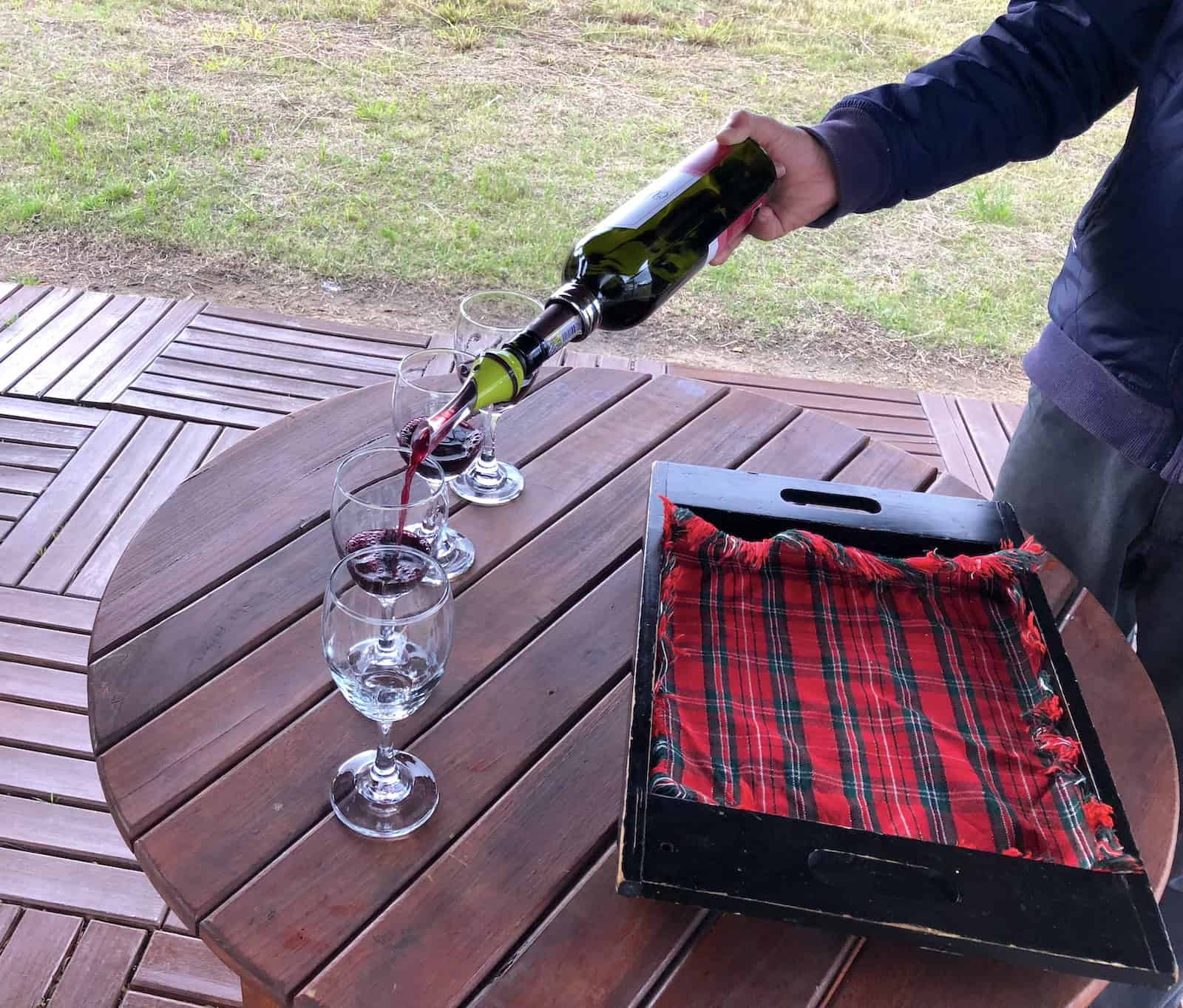 Colombian Wine: The Vineyards of Villa de Leyva