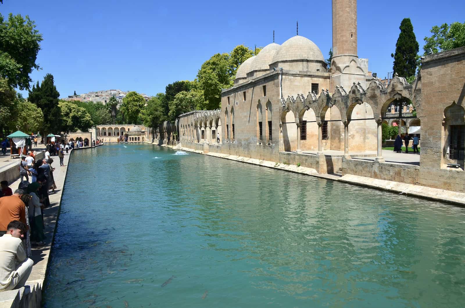 Urfa (Şanlıurfa): A Detailed Look at the City of Prophets