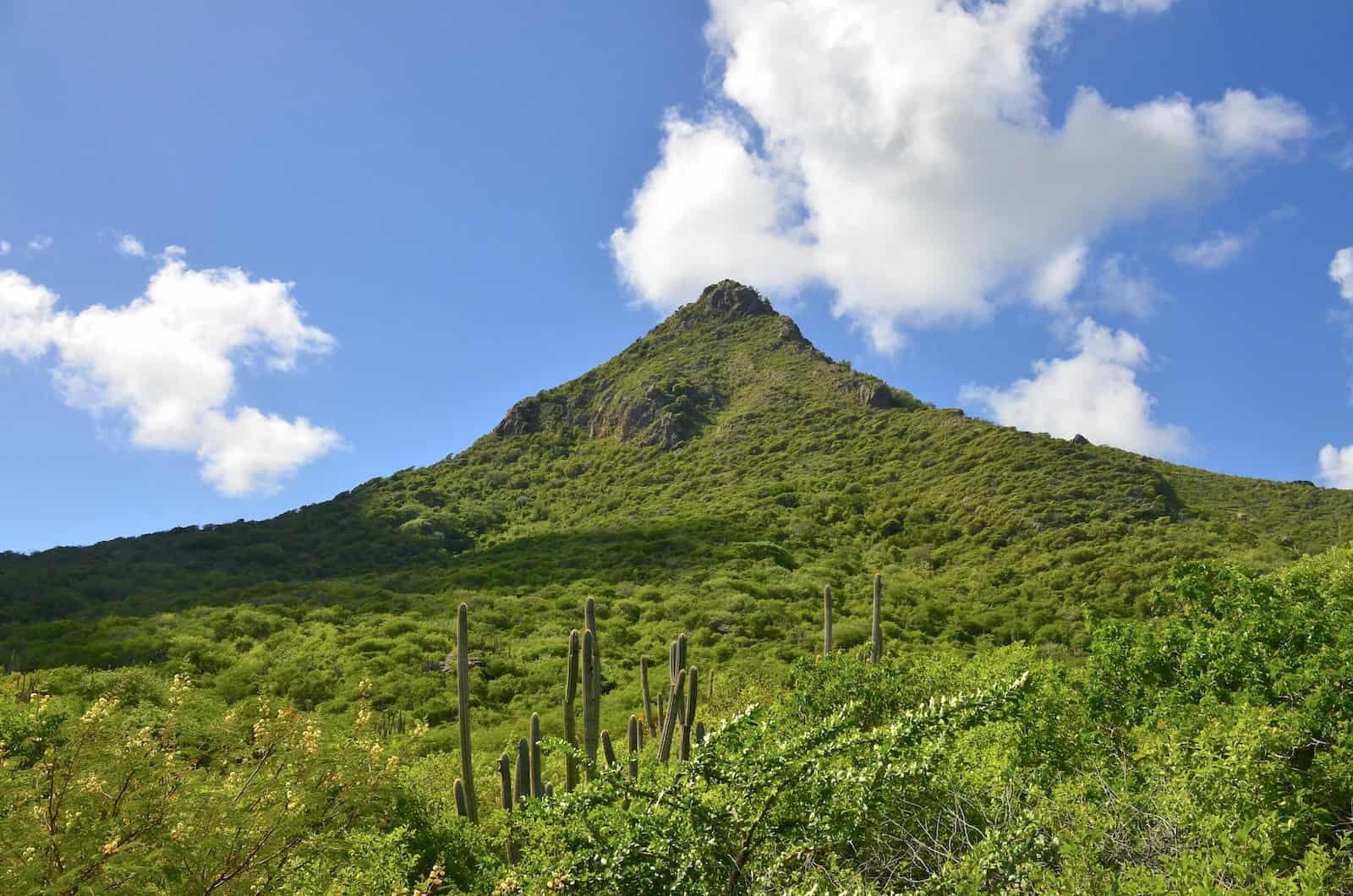 Christoffel National Park: Exploring the Largest Park on Curaçao