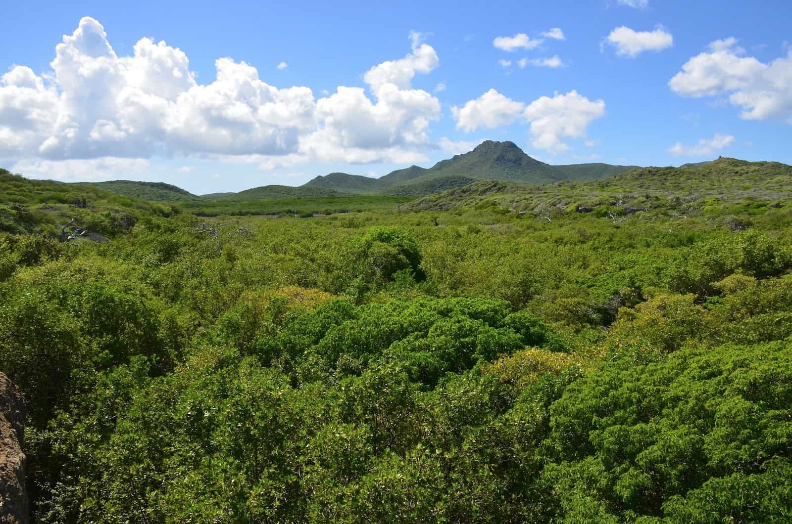 Christoffel National Park: Exploring the Largest Park on Curaçao